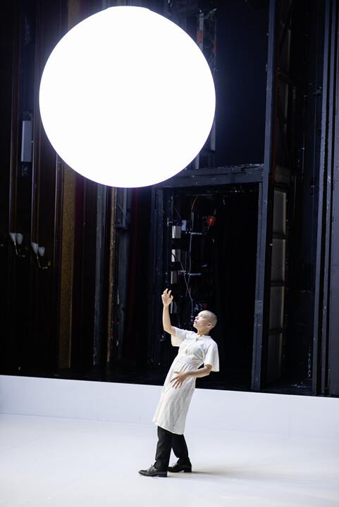 Hamlet, by William Shakespeare with excerpts from "Die Hamletmaschine ...