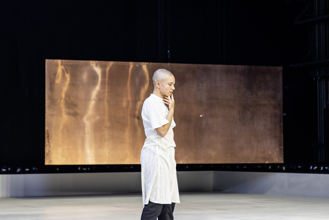 Hamlet, by William Shakespeare with excerpts from "Die Hamletmaschine ...